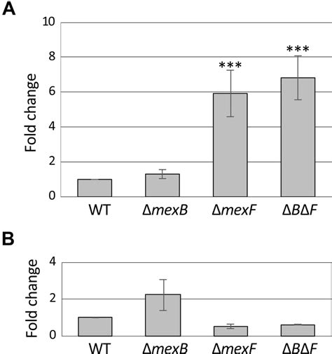 Quantitative Reverse Transcription Pcr Analysis Of Gene Expression Of