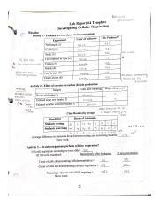 Lab Report 4 Template 1 Pdf Course Hero