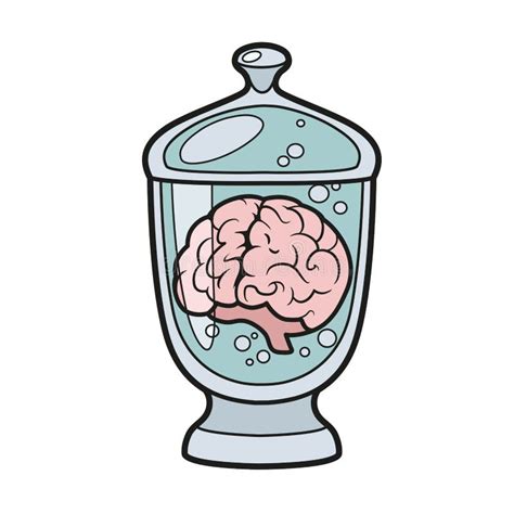 Human Brain Jar Stock Illustrations 136 Human Brain Jar Stock Illustrations Vectors And Clipart