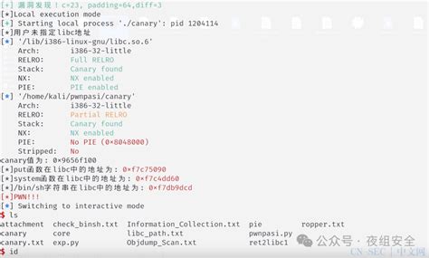 pwnpasi自动化PWN利用框架专为CTF比赛和二进制漏洞利用设计集成了栈溢出格式化字符串等多种漏洞利用技术 CN SEC 中文网