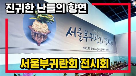 진귀한 난들의 향연 서울부귀란회 전시회 Youtube