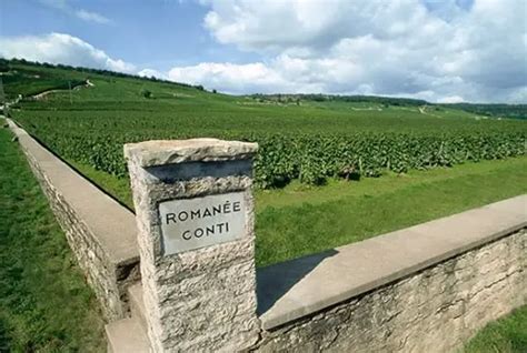 Burgundy Day Tour From Paris