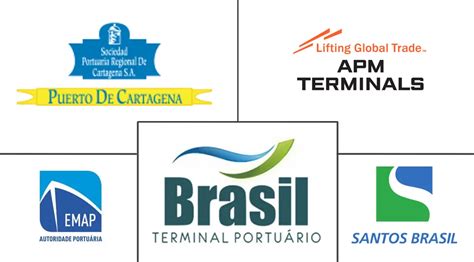 Latin America Container Terminal Operations Market Size And Share