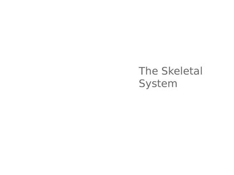 PPT Skeletal System Part 1 DOKUMEN TIPS