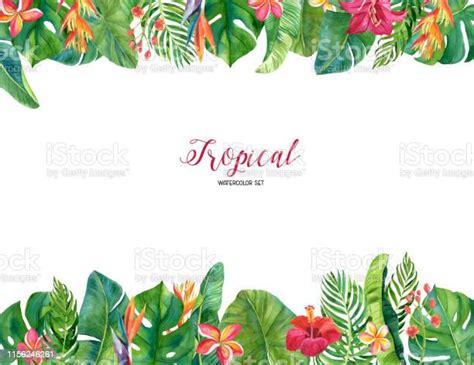 열대 잎과 꽃이 있는 미리 만들어진 카드 초대장 카드 배너 결혼식 및 기타 준비 테두리 0명에 대한 스톡 벡터 아트 및 기타 이미지 Istock