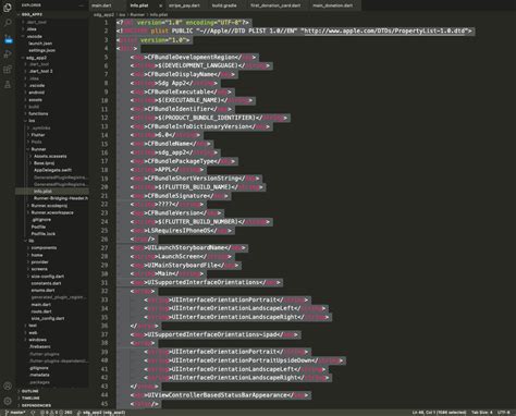 The Applications Infoplist Does Not Contain A Valid Cfbundleversion · Issue 99995 · Flutter