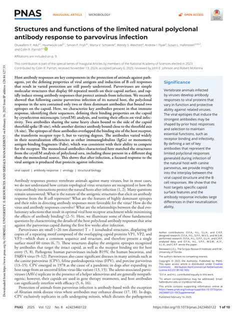 Pdf Structures And Functions Of The Limited Natural Polyclonal Antibody Response To Parvovirus