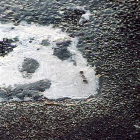 Anthony Olcott Michigan State University Mi Msu James Madison