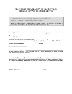 19 Printable Statutory Declaration Example Forms And Templates Fillable Samples In PDF Word