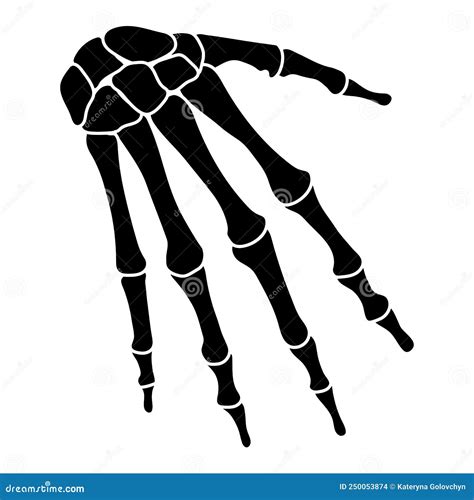 Skeleton Hands Human Silhouette Body Bones Carpals Wrist Metacarpals Phalanges Front