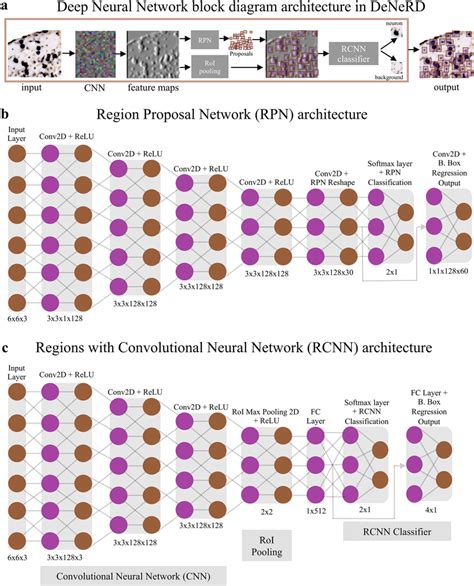 The Deep Neural Network Architecture In The Denerd Neuron Detector