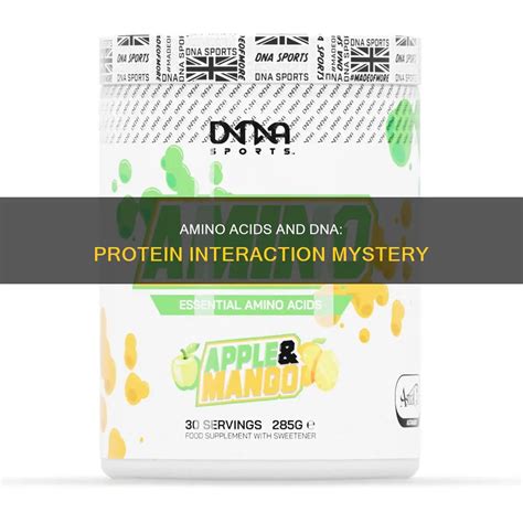 Amino Acids And Dna Protein Interaction Mystery Medshun