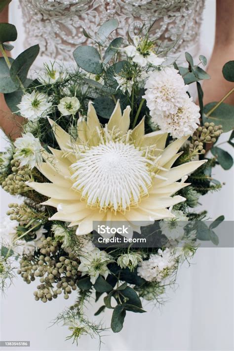 신부는 프로테아 꽃의 아름다움 결혼식 꽃다발을 보유하고 결혼 의식에 대한 스톡 사진 및 기타 이미지 결혼 의식 결혼식