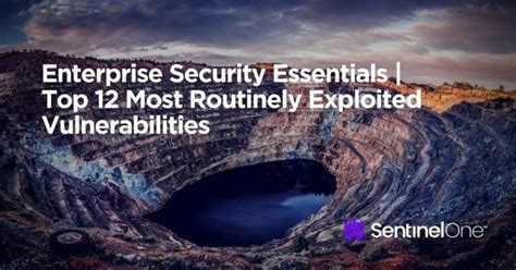 enterprise security essentials top 12 most routinely exploited