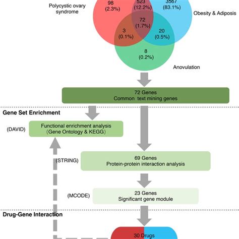 Overview Of The Text Mining And Data Analysis Process Download Scientific Diagram