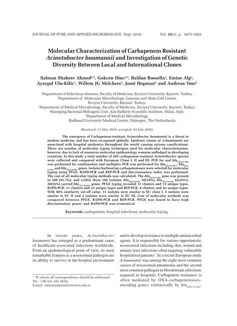 Pdf Molecular Characterization Of Carbapenem Resistant Acinetobacter Baumannii And
