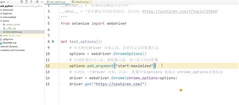 软件测试测试开发丨web自动化 Option 常用操作headless无头浏览器selenium Option 常用操 掘金