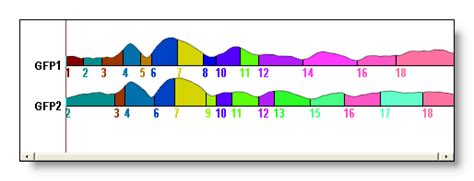 Segmentation Of Eeg Files Into Micro States