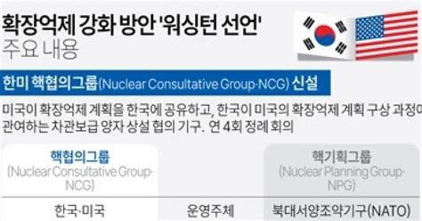 그래픽 확장억제 강화 방안 워싱턴 선언 주요 내용종합
