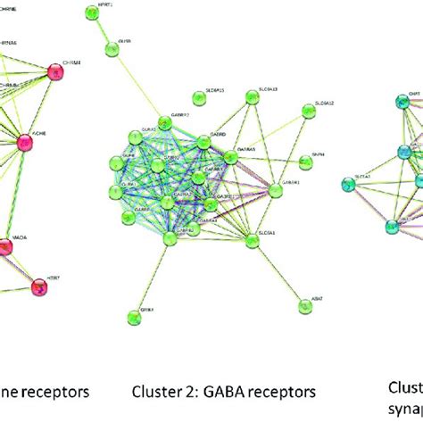 Gene Clusters As Determined By String Analysis Indicating Three Download Scientific Diagram
