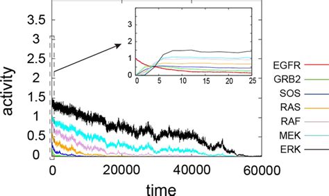 Trajectories For The Activity Of The Mapk Signaling Pathway With