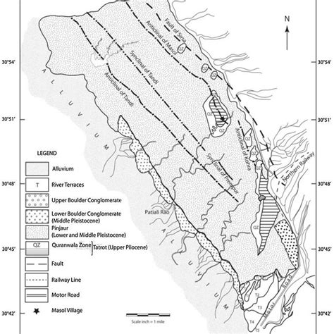 Last Lower Molar Masol R10182 Elephas Hysudricus Saar Collections
