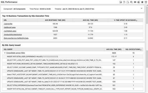 Business Transaction Monitoring Sql Performance Report