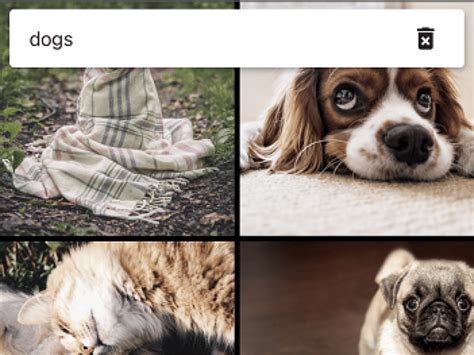 A Flutter Image Gallery App Photo Gallery News Shop Api Integration