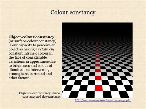 Brightness Constancy Illusion