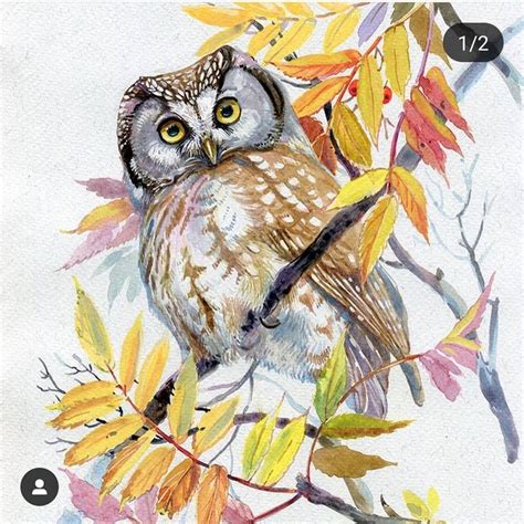 Alina Mitrikova Skantseva On Instagram Кто с нами рисовать совушек 6 октября в 12 00 рисуем