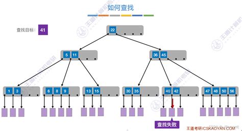 王道考研数据结构第七章知识点总结根叶黑不红红黑路同 Csdn博客