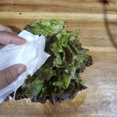 참치 상추비빔밥 만드는 법 상추 참치비빔밥 고추장 양념장 만들기 한 그릇 음식 네이버 블로그