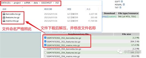 单细胞实战1数据下载 数据读取 Seurat对象创建seurat数据生成 Csdn博客
