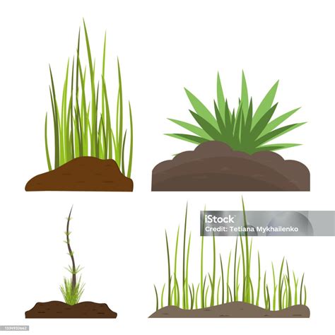 땅에 녹색 식물 집합 잔디 덤불 땅에 잎이있는 어린 새싹을 발아하는 과정 토양에서 모종 개발 생태 및 환경 개념 벡터 일러스트레이션 0명에 대한 스톡 벡터 아트 및 기타