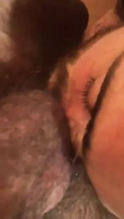 Sniffing Sweaty Crotch Xhamster