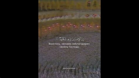 Сура аль Адият шейх Али Джабир Youtube