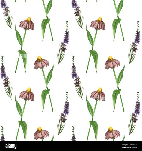 Grasses With Dew Cut Out Stock Images And Pictures Alamy