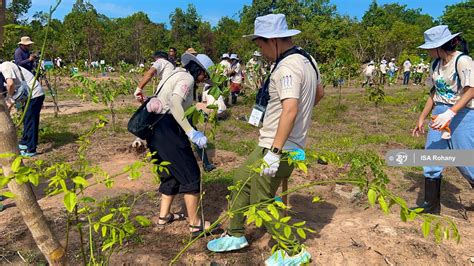 ជប៉ុន ដាំកូនឈើ១ម៉ឺនដើមទៀតនៅឧទ្យានអង្គរ