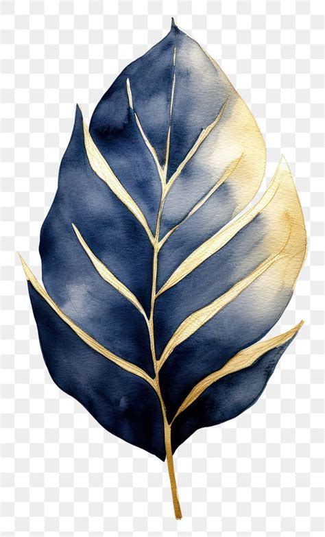Indigo Leaf Plant Pattern Nature Premium Png Rawpixel