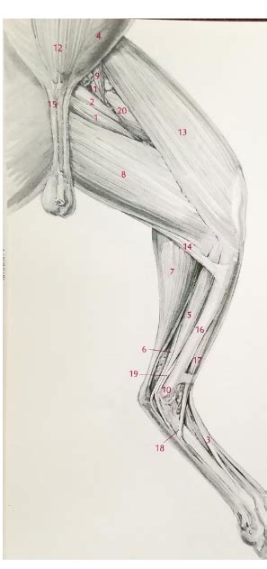 Cat 12 Diagram Quizlet