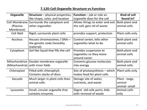 Cell And Macromolecules PPT Biological Sciences Science