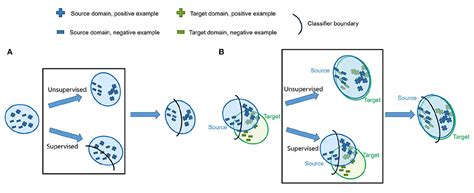 Frontiers U Shaped Gan For Semi Supervised Learning And Unsupervised Domain Adaptation In High