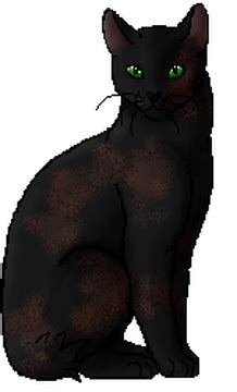 Warrior Cats Rock Sunningrocks Warriors Wiki Fandom