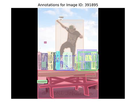 Coco Dataset