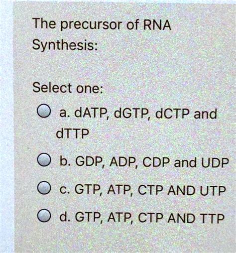 Solved The Precursor Of Rna Synthesis Select One A Datp Dgtp Dctp