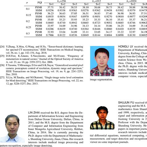 Quantitative Results Of Tensor Dictionary Denoising Methods Of