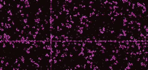 examples the assemblyscript book