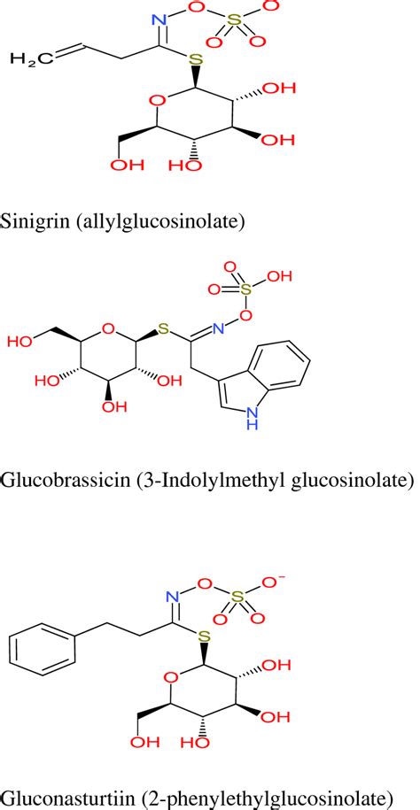 Chemical Structure Of Glucosinolates Download Scientific Diagram