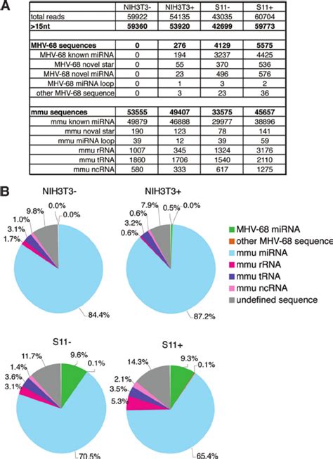 Comprehensive Analysis Of Small Rna Deep Sequencing Libraries