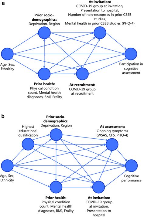 directed acyclic graph describing hypothesised causal pathways